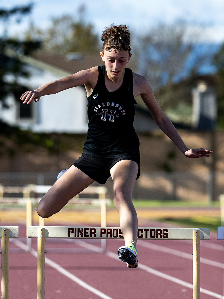 Galloping Greyhounds on the Track | Healdsburg Tribune | Local News ...